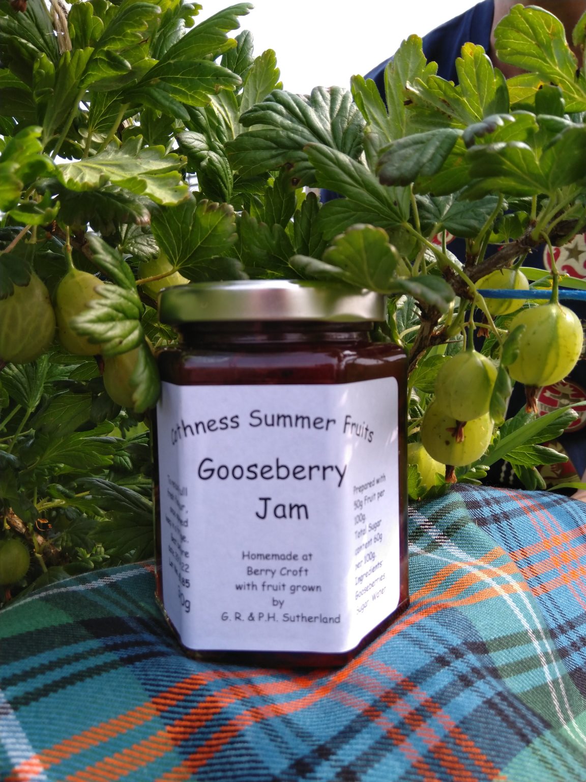 Gooseberry Jam (Medium) – Caithness Summer Fruits
